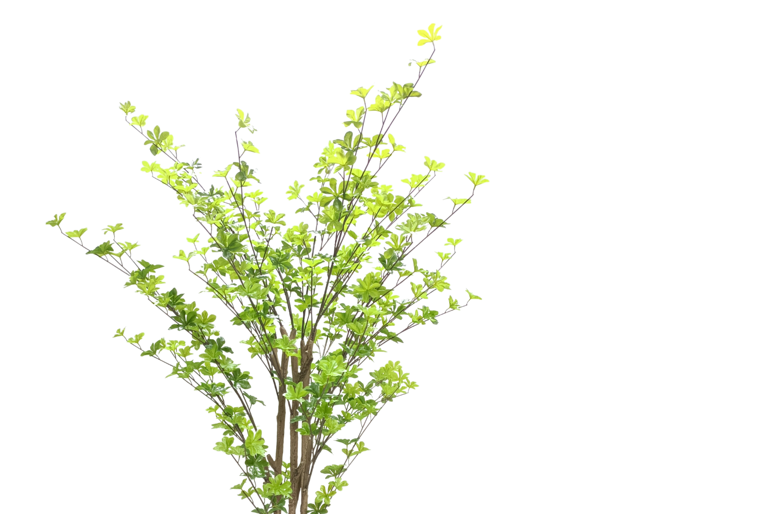 ARTIFICIAL PLANT Watercress Tree (H180)