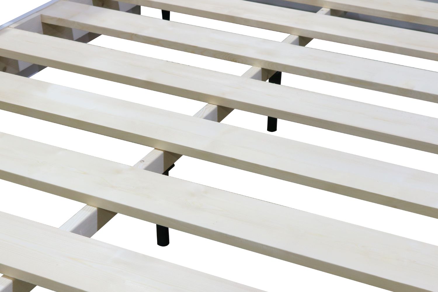 SHELL DREAM in Queen/Super King Size