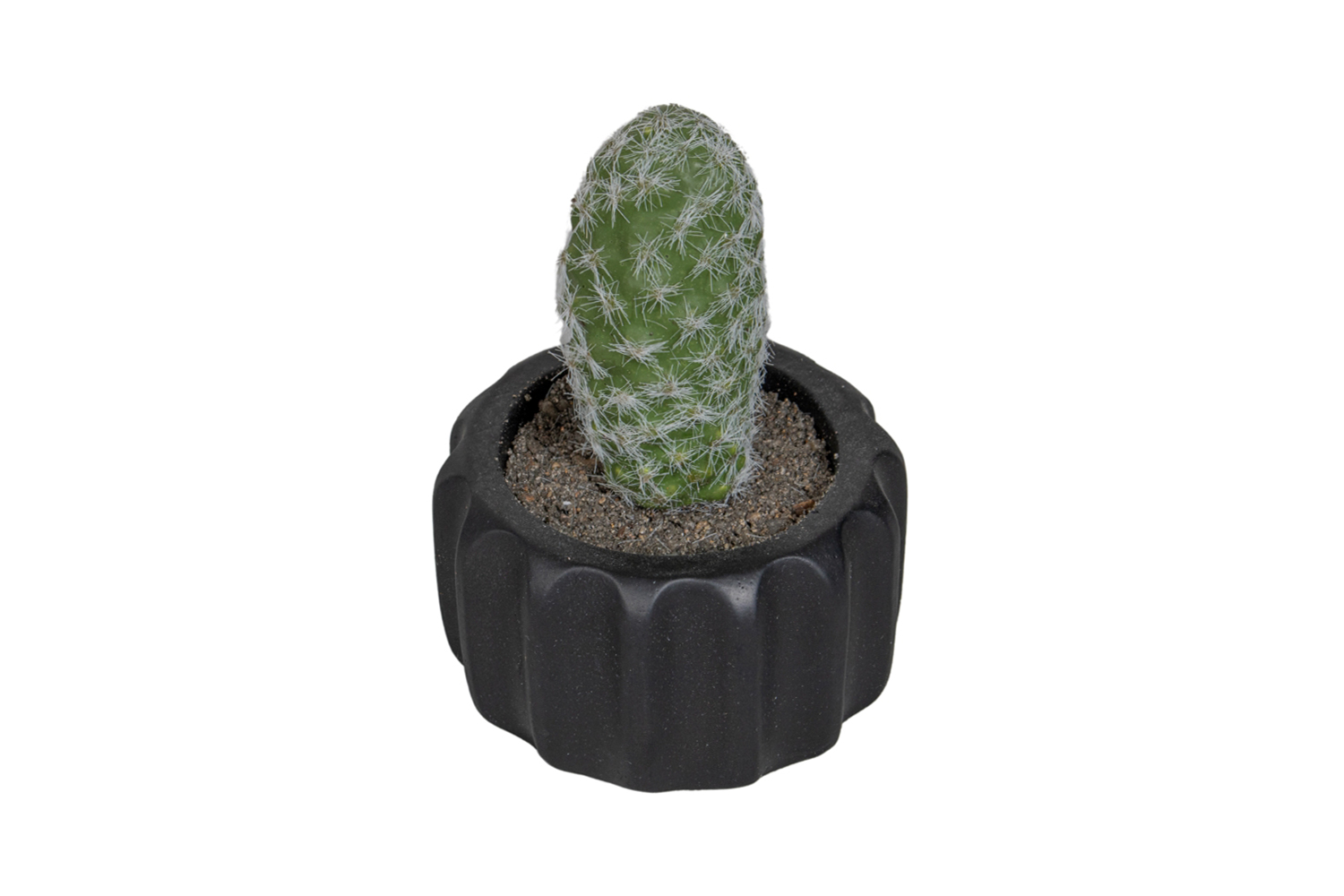 ARTIFICIAL Round Cactus Potted Plant (9x15cm)