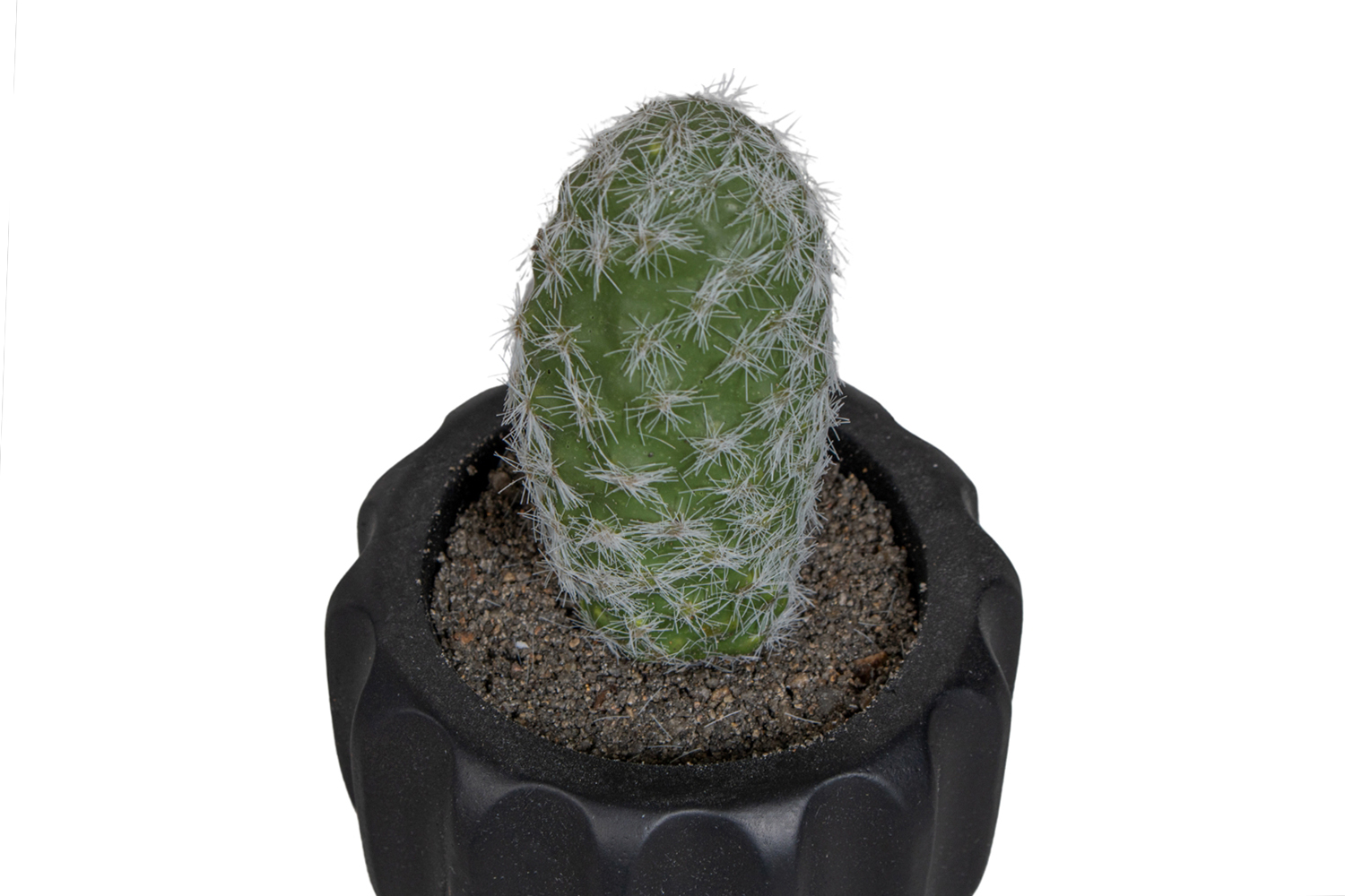 ARTIFICIAL Round Cactus Potted Plant (9x15cm)