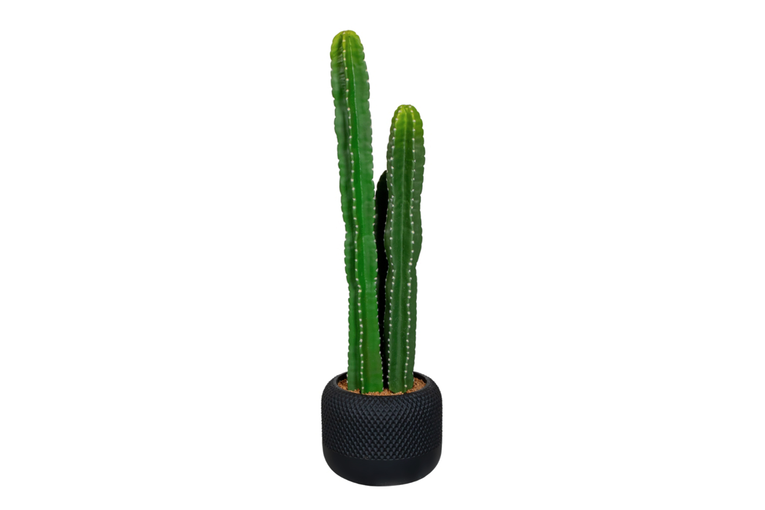 ARTIFICIAL Cactus Potted Plant (90cm Tall)