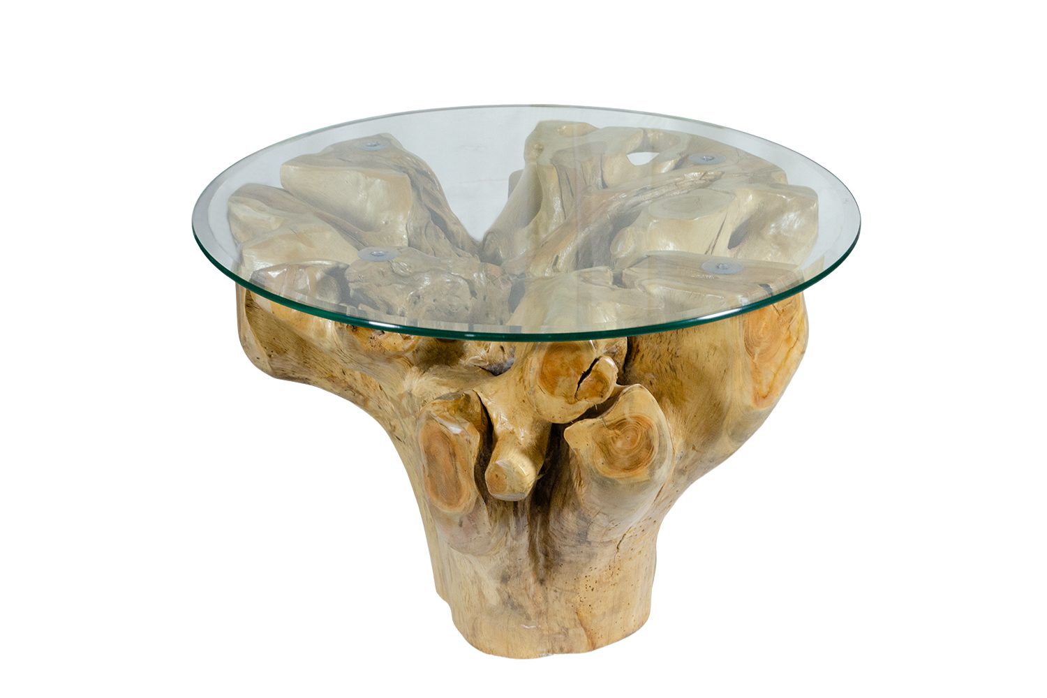 TAKARA D70 Tempered Glass Top Handcrafted Teak Root Coffee Table