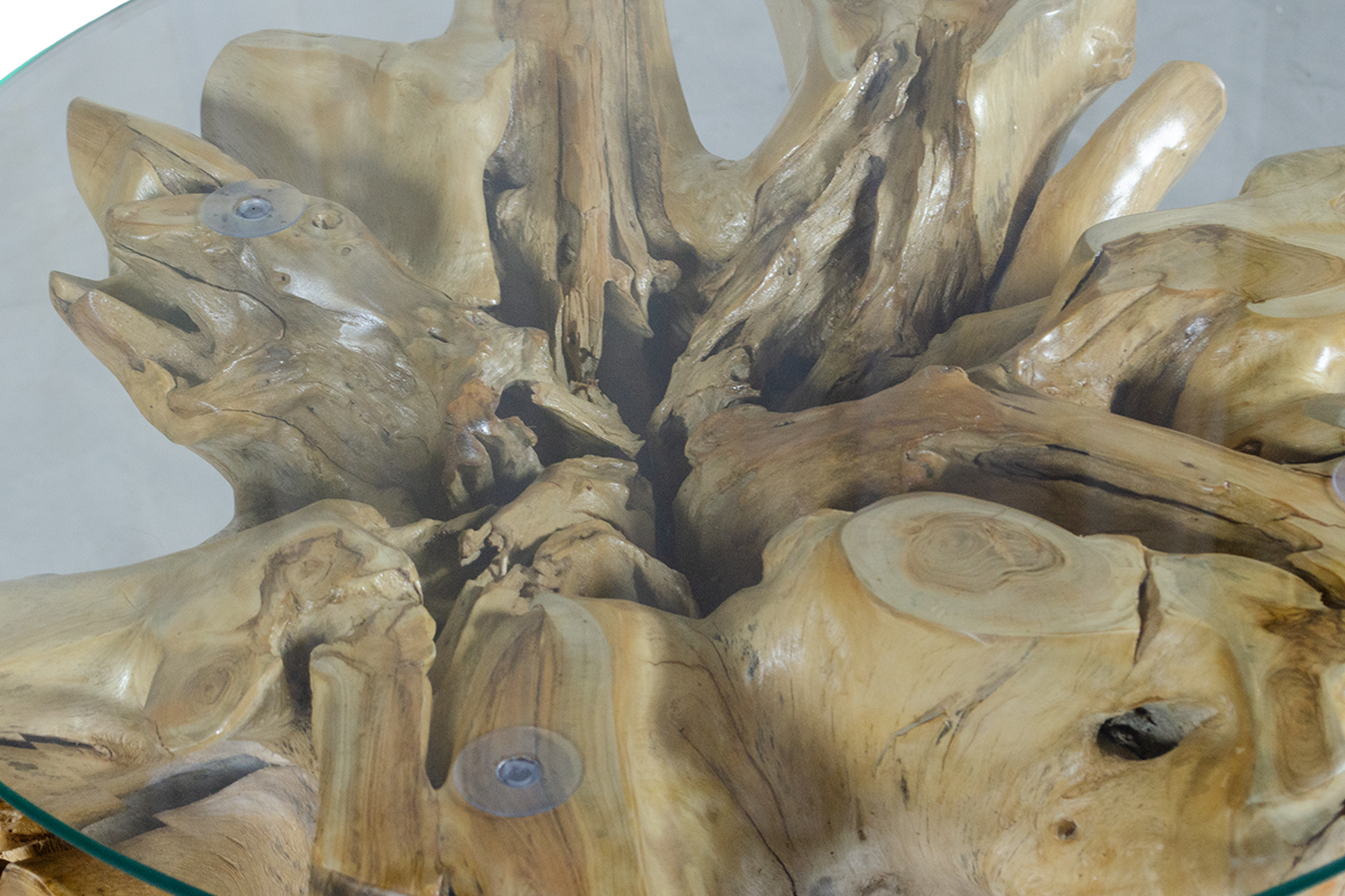 TAKARA D70 Tempered Glass Top Handcrafted Teak Root Coffee Table