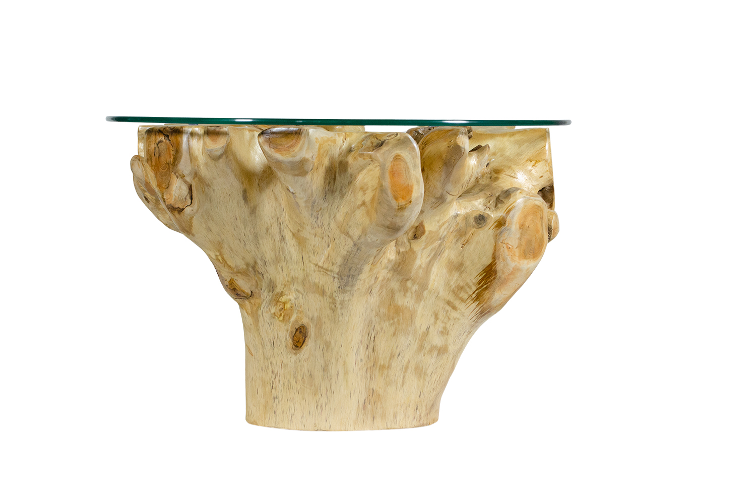 TAKARA D70 Tempered Glass Top Handcrafted Teak Root Coffee Table