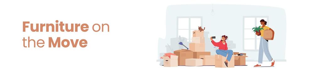 Furniture on the Move: How to Choose the Right Furniture for Renters ...